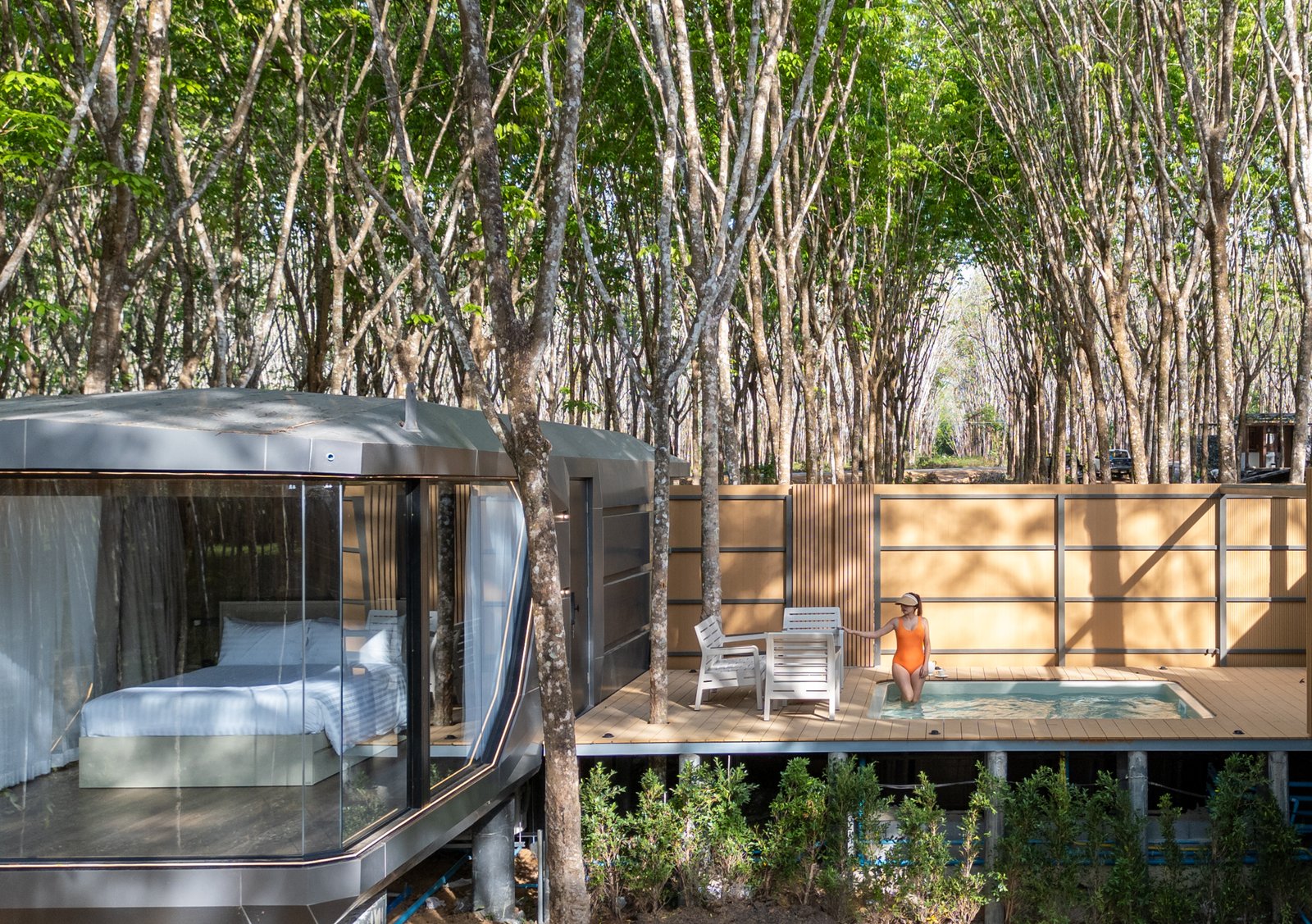 Home - Timbersociety